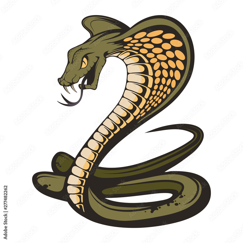 Vector illustration of a king cobra with hood. Snake Cobra is ready to ...