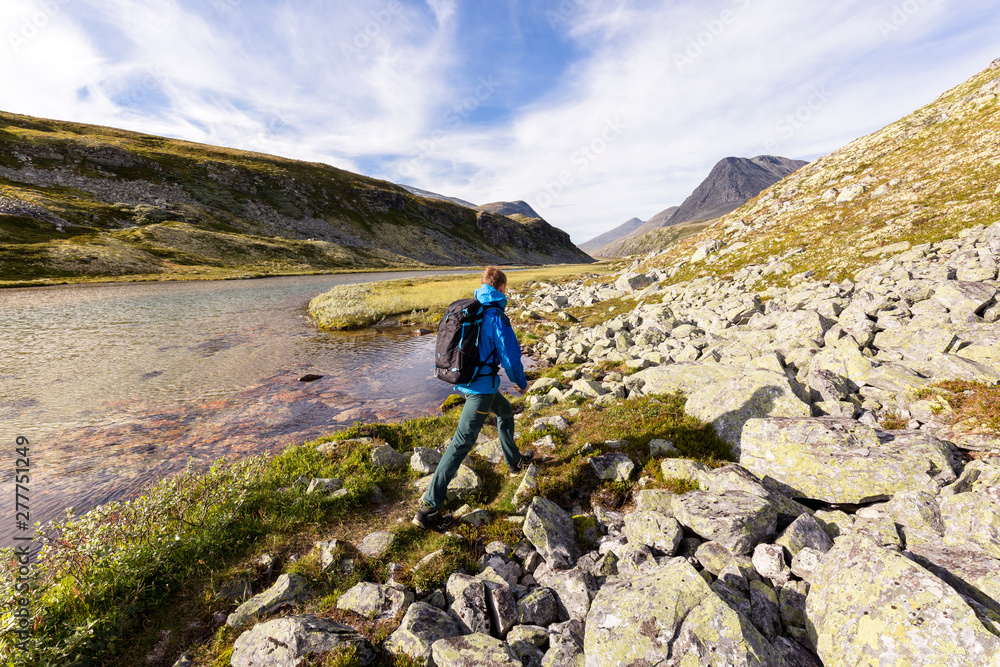 Rondane National Park, Norway: A male hiker hiking along the the river ...