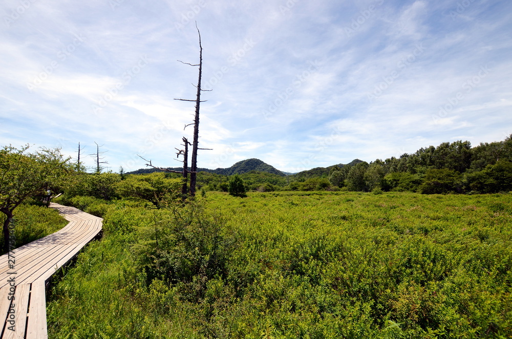 Senjogahara Marshland is an idyllic marshland with nice hiking trails ...