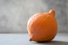 Deformed Pumpkin Free Stock Photo - Public Domain Pictures