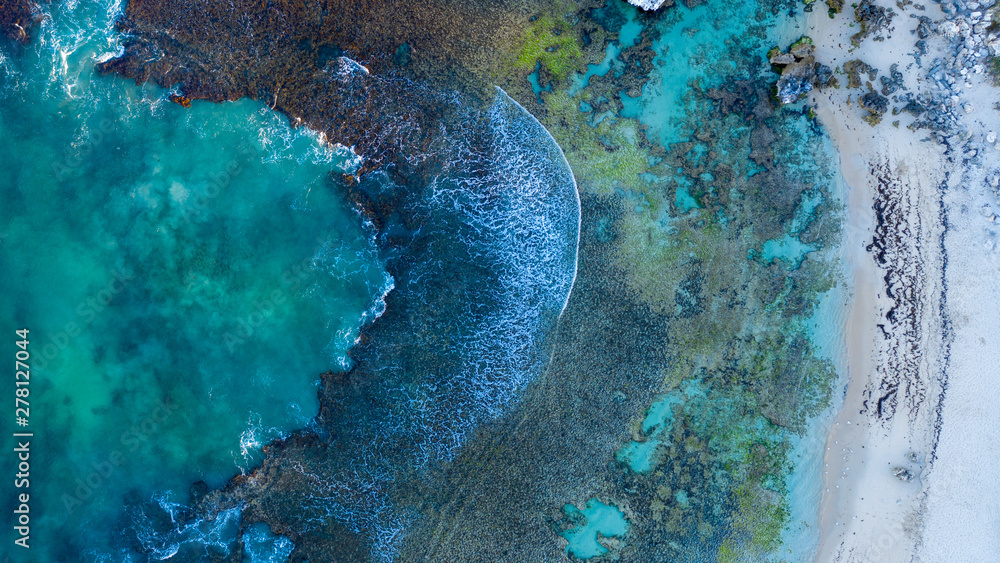Temperate Coral Reef Stock Photo | Adobe Stock