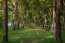 Rope Spider Web Free Stock Photo - Public Domain Pictures