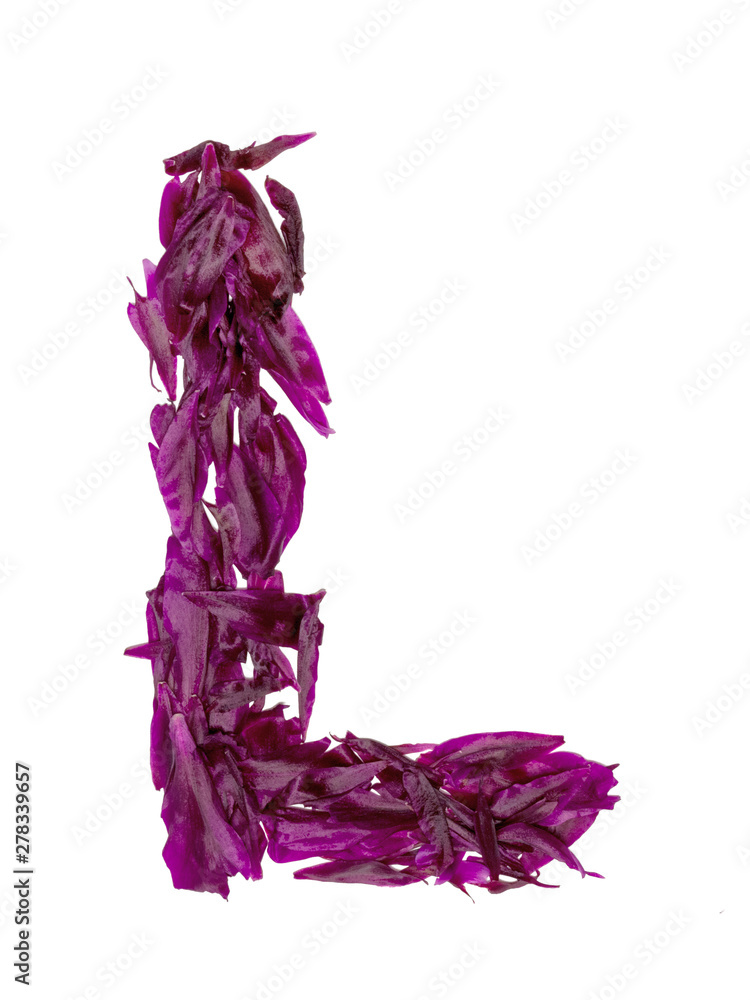 ABC, the alphabet of red, dark pink and green flower petals. alphabet ...