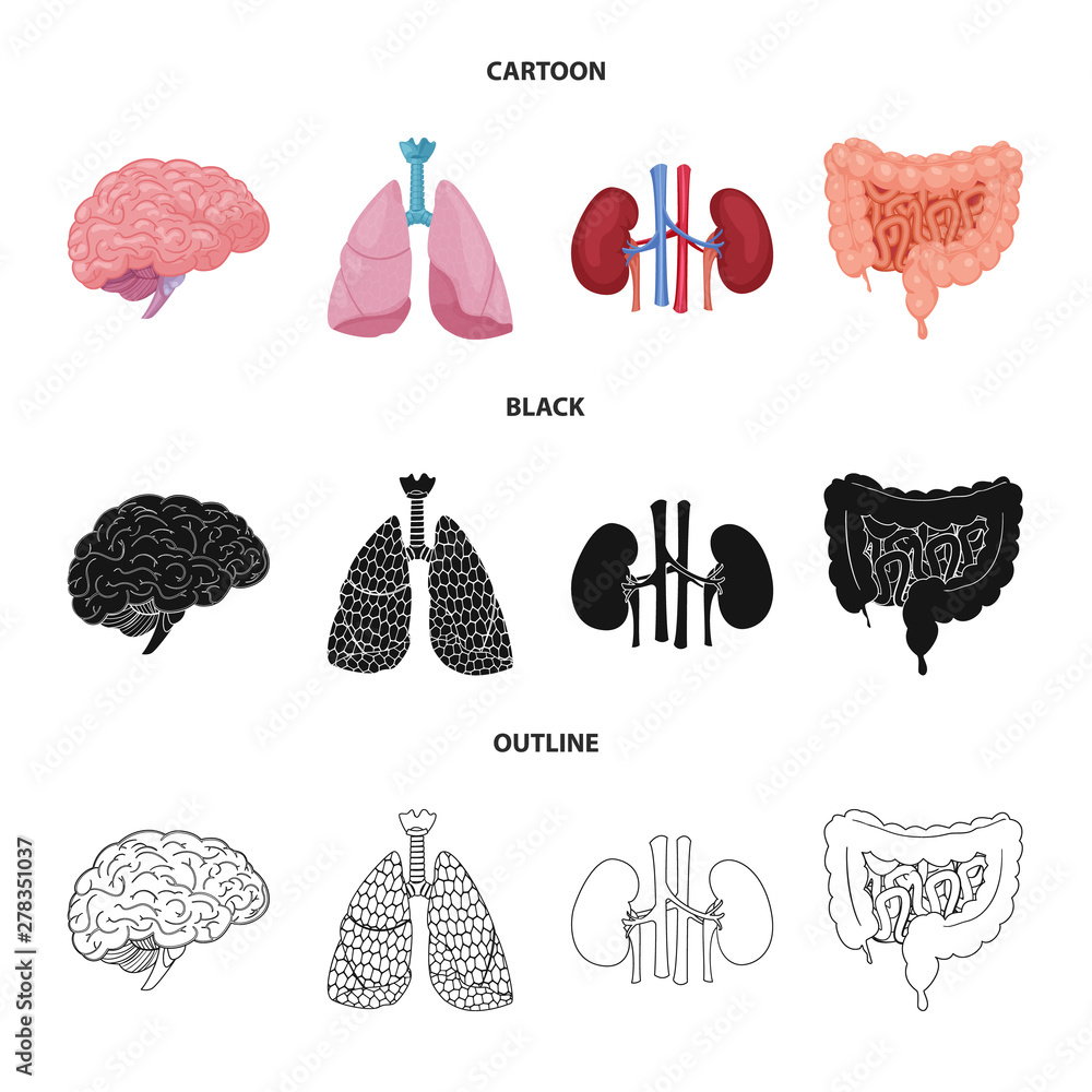 Vector illustration of body and human logo. Collection of body and ...