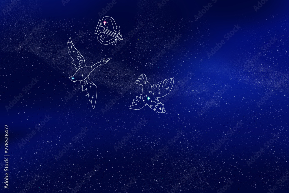 夏の大三角系 Summer Triangle – Starry Night Sky Featuring Cygnus, Lyra, and ...