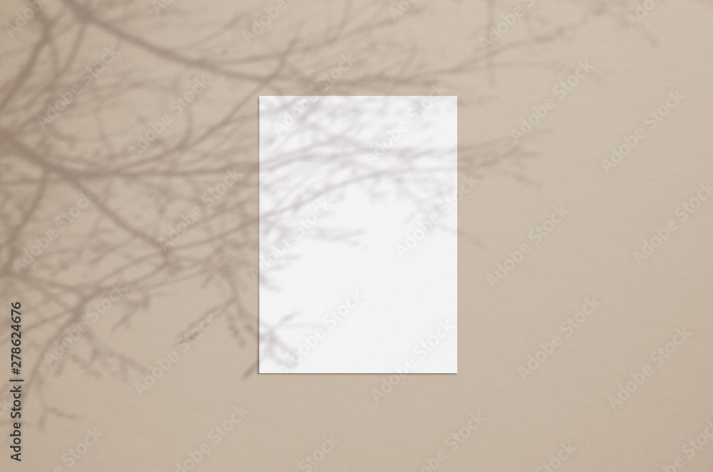 Blank white vertical paper sheet 5x7 inches with tree shadow overlay ...