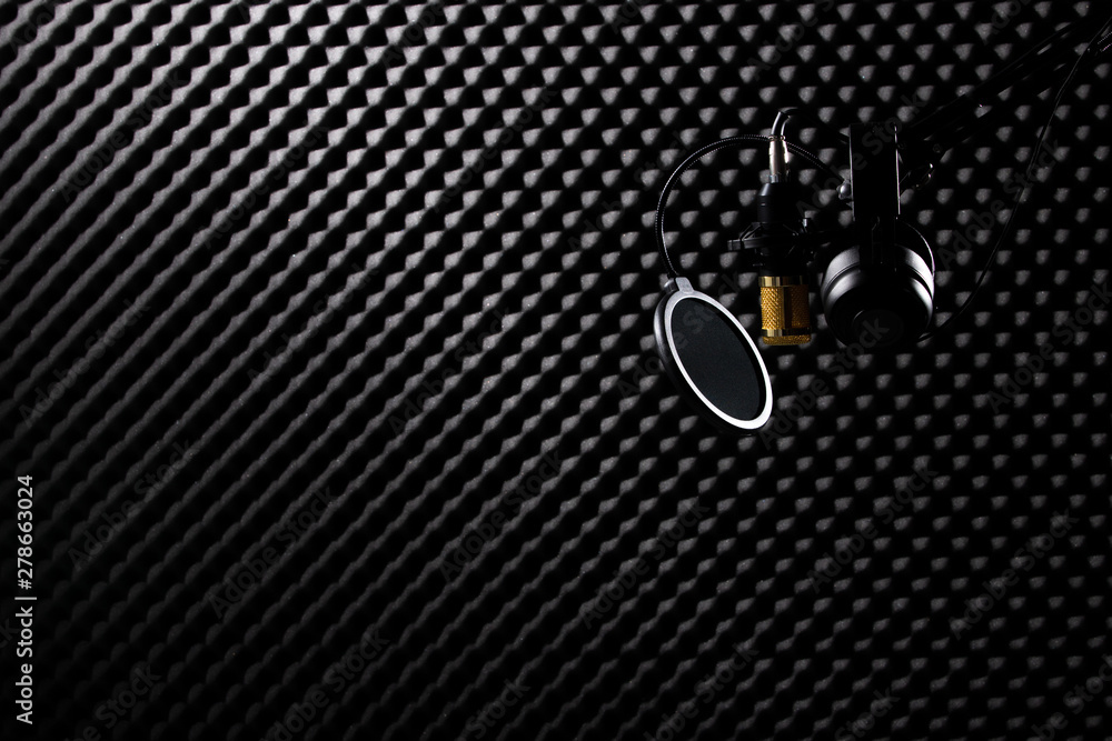 Microphone Condenser, gold mic with filter hang over sound absorbing ...