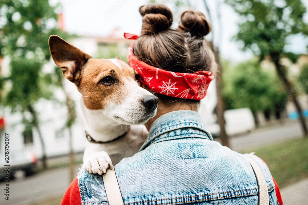 Jack Russell Terrier in the park outdoors, dog in the arms of man Stock ...