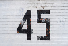 No. 45 Floral Yellow Free Stock Photo - Public Domain Pictures