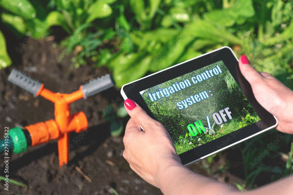 Woman is holding in hand a tablet computer with a program of irrigation ...