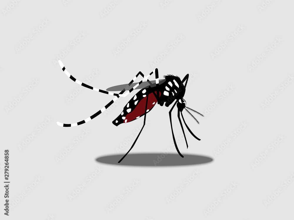 mosquito repellent illustration vector.Mosquitoes carry many disease ...