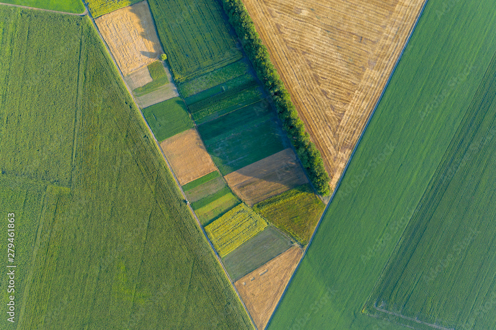 Abstract geometric shapes of agricultural parcels of different crops in ...