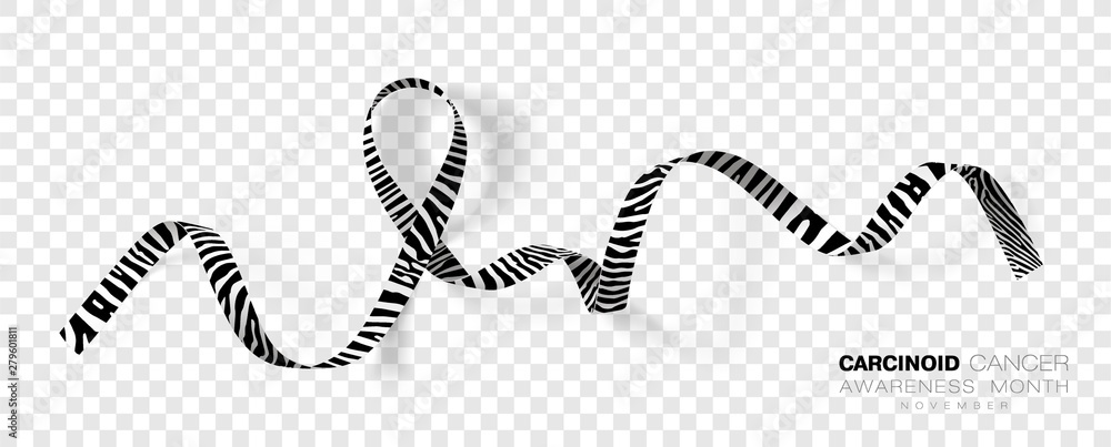 Carcinoid Cancer Awareness Month. Zebra Stripe Color Ribbon Isolated On ...