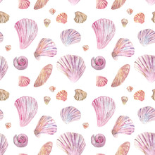 Repeat Pattern Of Pink Shell Free Stock Photo - Public Domain Pictures