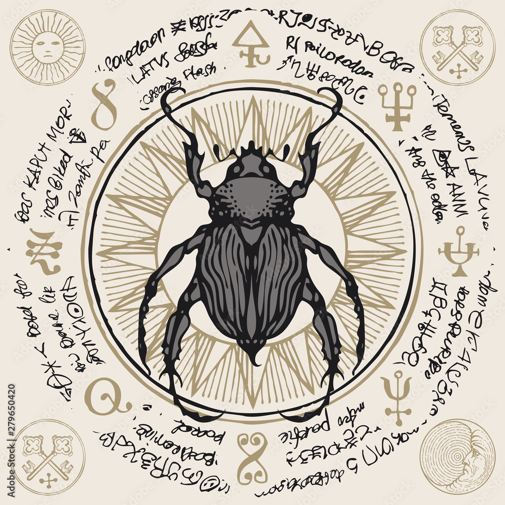 Illustration of a hand-drawn beetle on an old abstract illegible text ...