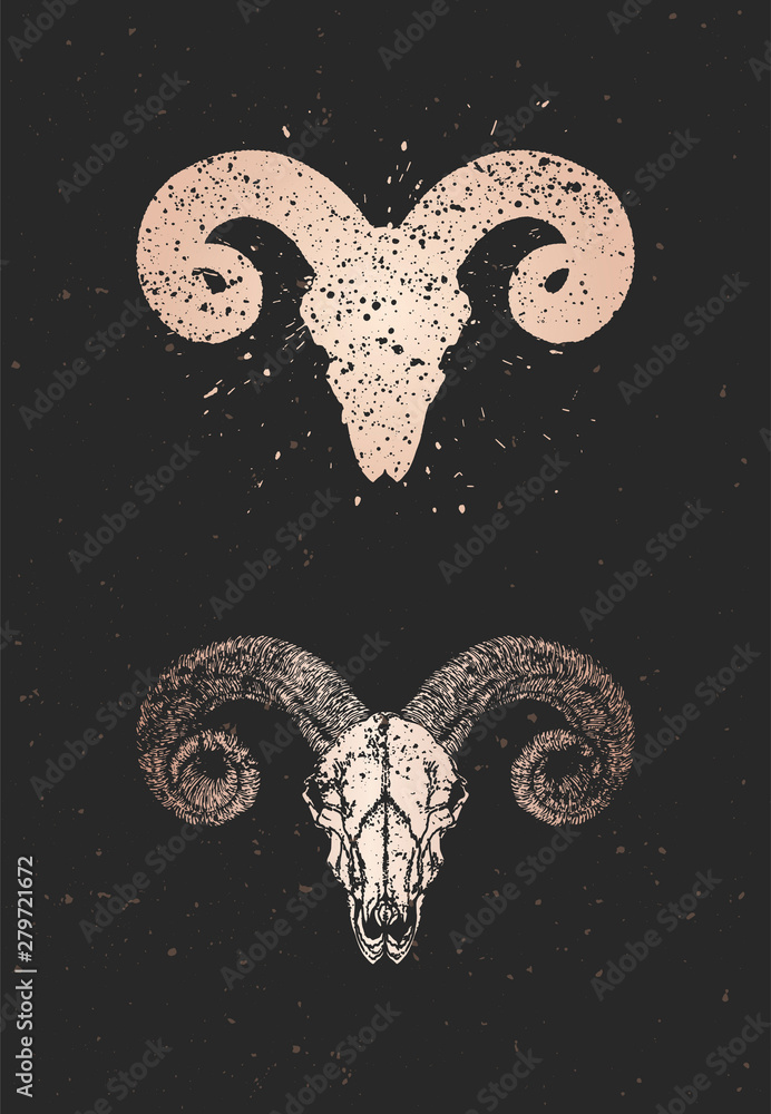 Vector illustration with two variants of hand drawn wild ram skulls on ...