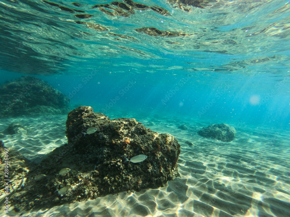 Underwater view of the rocks, sand and stones. The sandy and rocky ...
