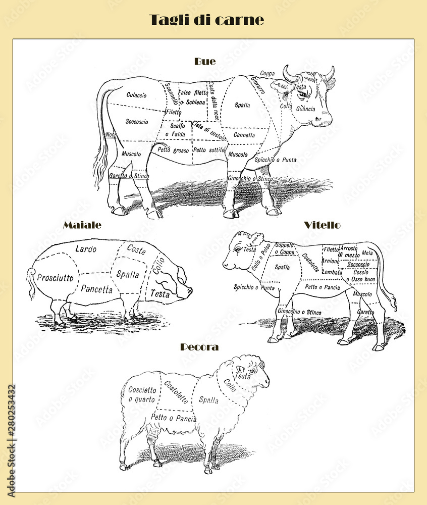 Butcher cart: meat cuts with Italian names for beef, calf, pig and ...