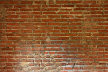 CANNED Brick Wall Free Stock Photo - Public Domain Pictures