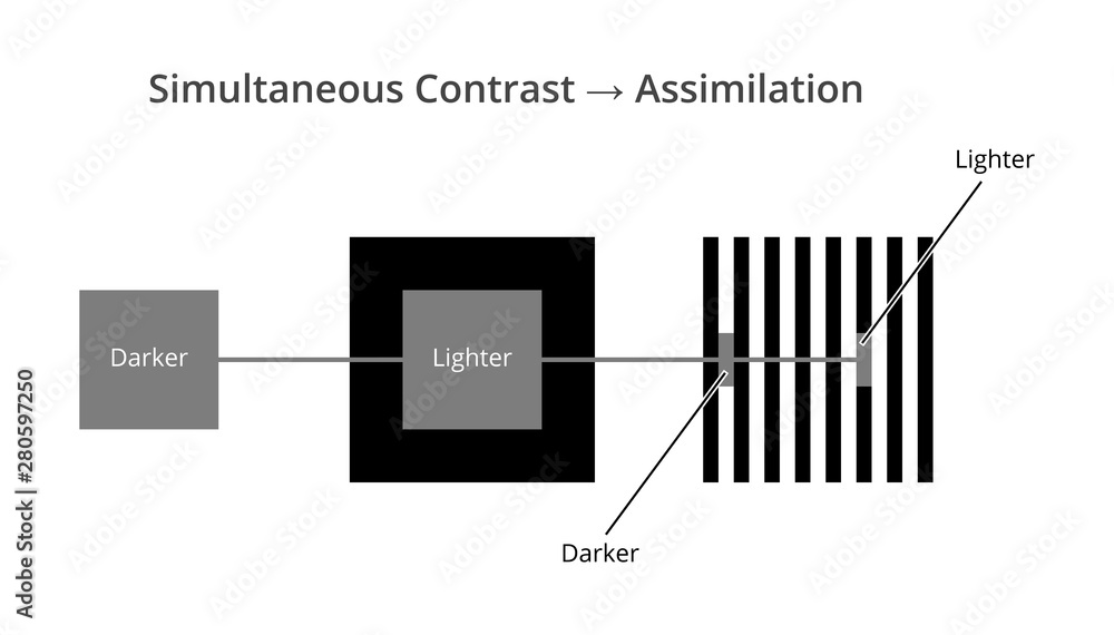 Vector icon of simultaneous contrast and assimilation isolated ...