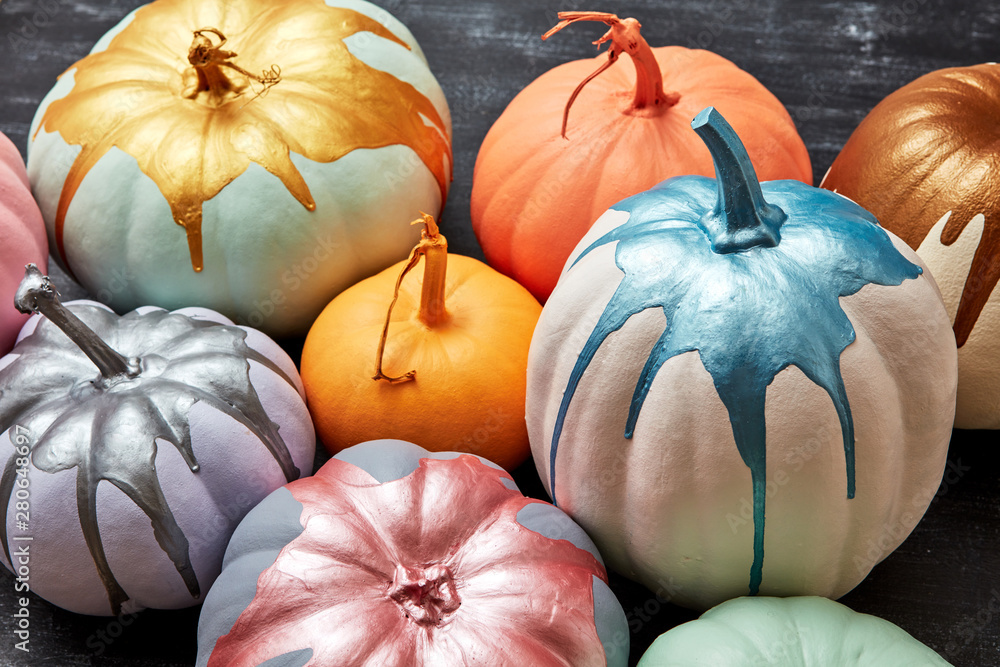 Different colored multi-colored pumpkins on a dark concrete background ...