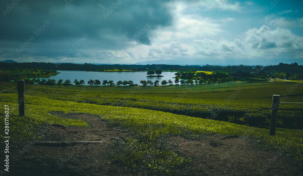 Amazing nature landscape of green tea plantation and dramatic clouds ...