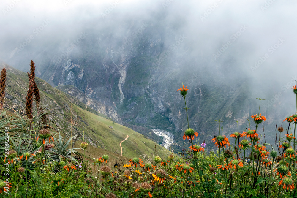 Hiking path at high altitude Peruvian mountains, the Choquequirao trek ...