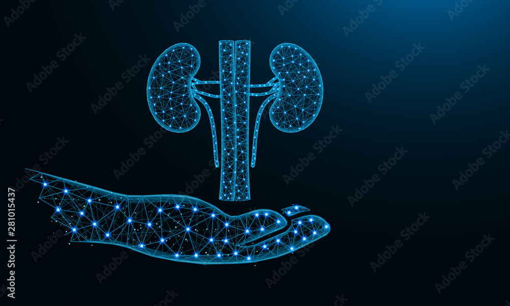 Hand and kidneys low poly design, human organ donor in polygonal style ...