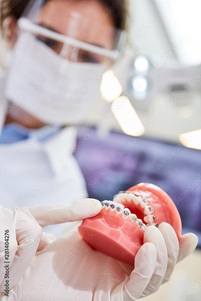 Zahnärztin zeigt Zahnspange an Gebiss Modell Stock Photo | Adobe Stock