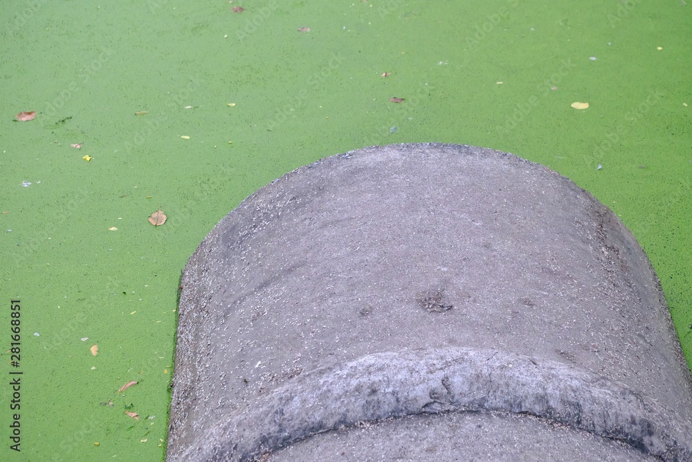 Cement concrete pipe drainage river drain the fluid flow with green ...