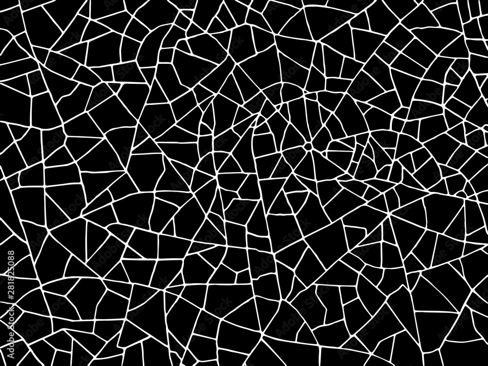 The cracks texture white and black. Vector background.Cracked earth ...
