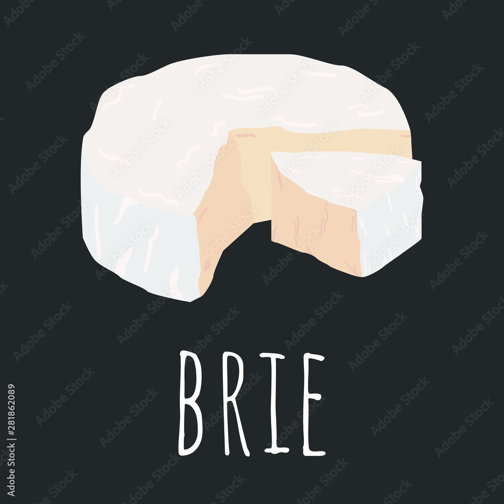 Brie cheese cartoon style vector clip-art. Stock Vector | Adobe Stock