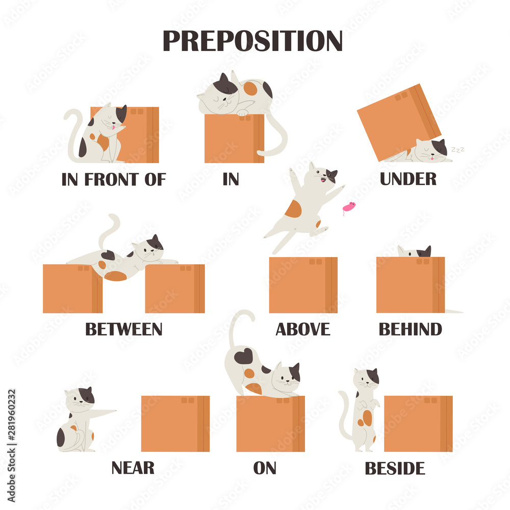 Cute cat character in different poses with box. Prepositions of place ...