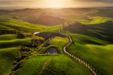 Siena, View From Above Free Stock Photo - Public Domain Pictures
