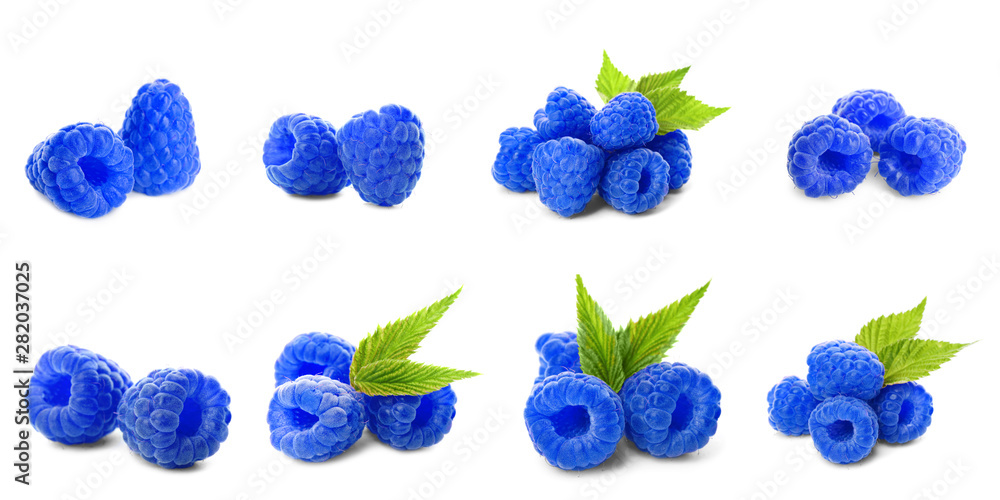 Set of fresh sweet blue raspberries on white background. Banner design ...