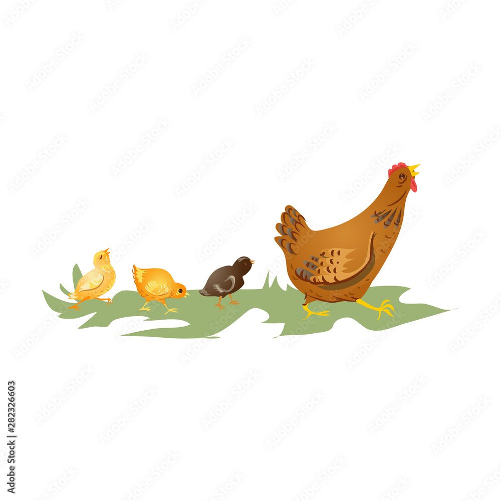 Cute brown mother hen walking with chicken kids Stock Vector | Adobe Stock