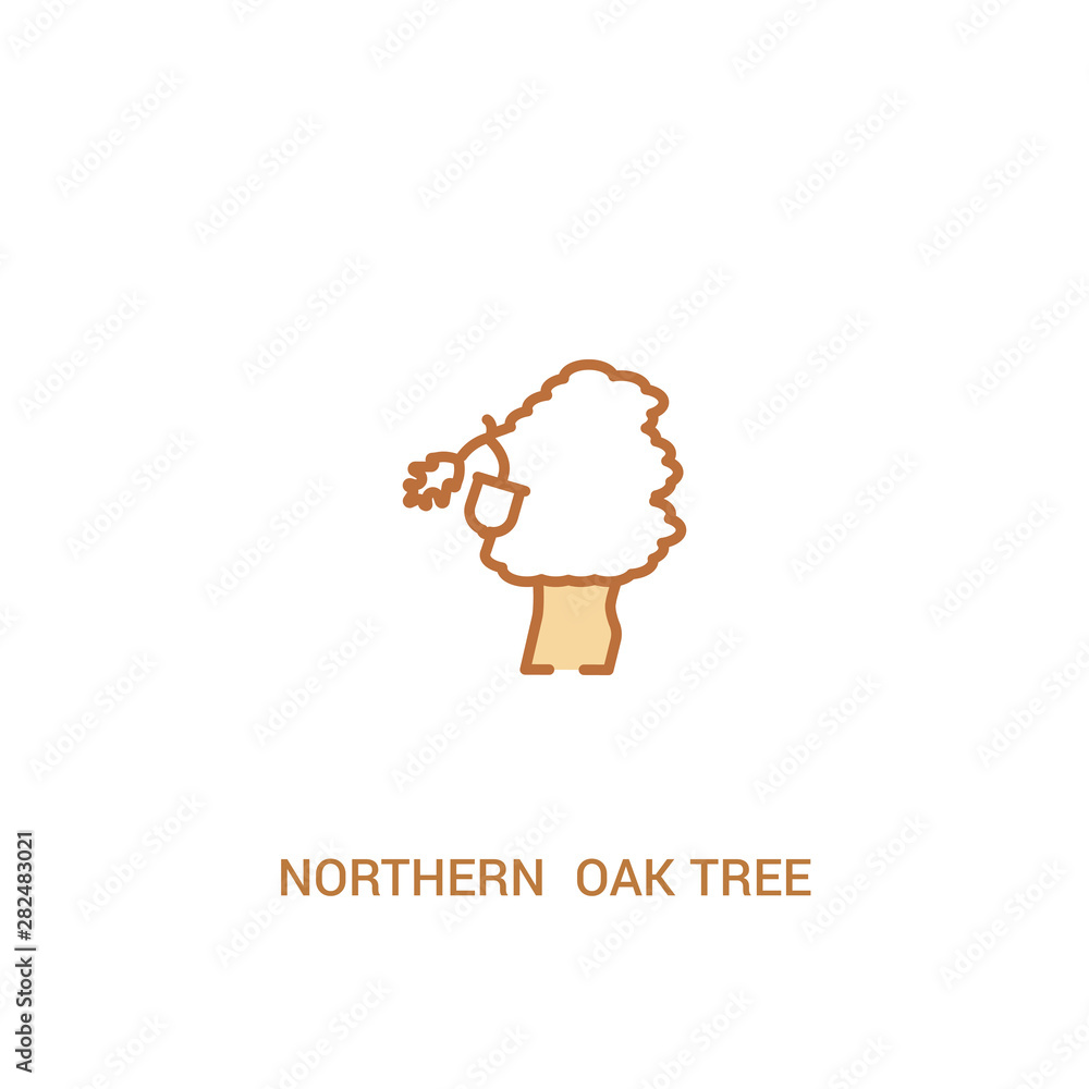 northern oak tree concept 2 colored icon. simple line element ...