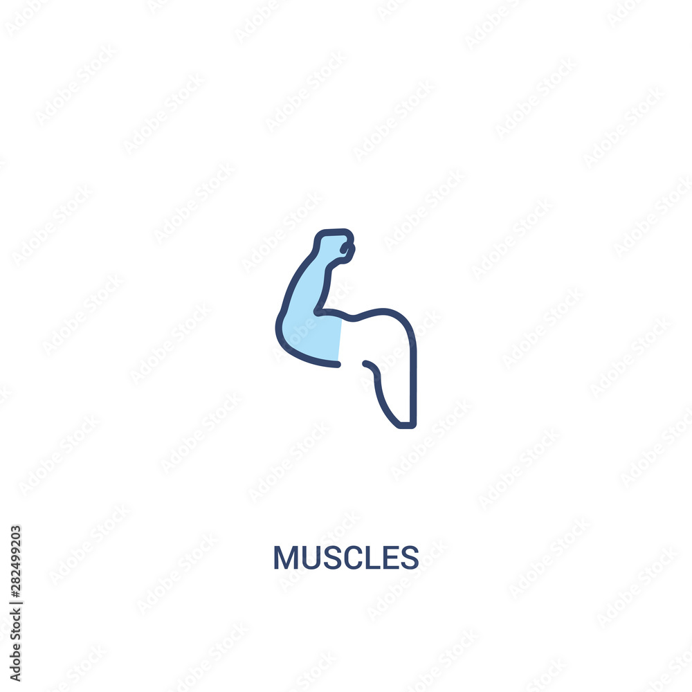muscles concept 2 colored icon. simple line element illustration ...