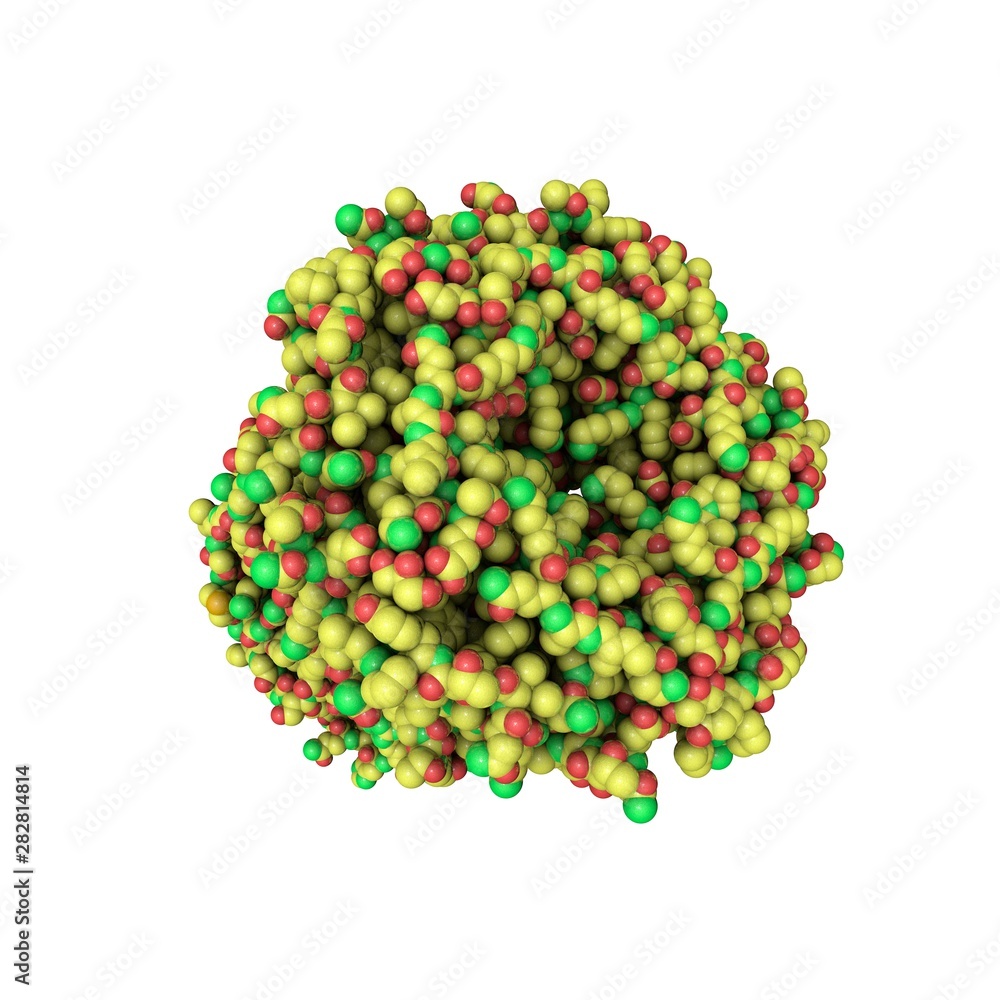 Molecular structure of typhoid toxin produced by bacterium Salmonella ...
