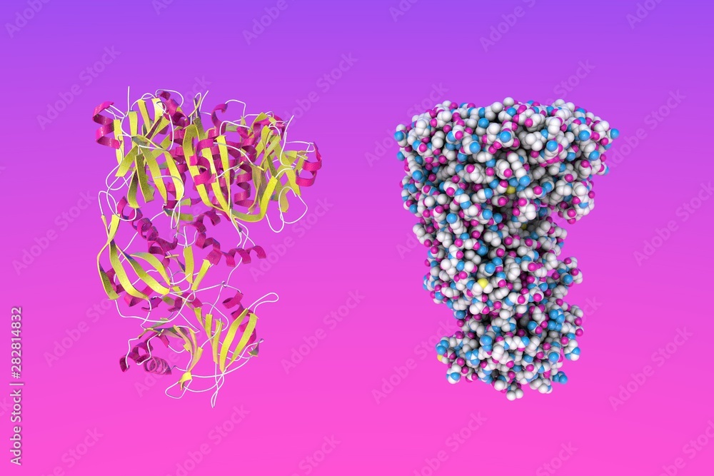 Molecular and crystal structure of typhoid toxin produced by bacterium ...