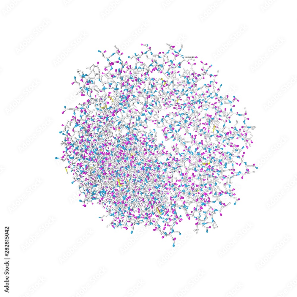 Molecular model of typhoid toxin. Atoms are represented as spheres with ...