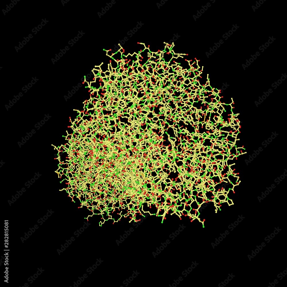 Molecular structure of typhoid toxin produced by bacterium Salmonella ...