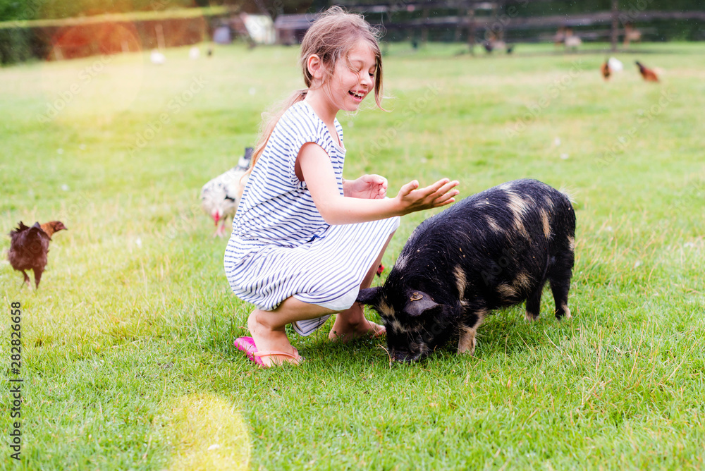 pretty little girl taking care of a dwarf pig Stock Photo | Adobe Stock