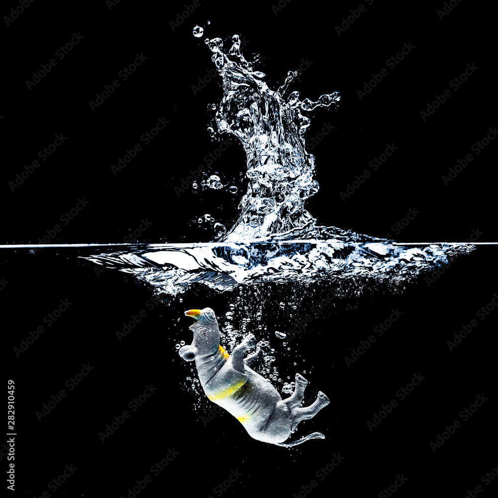 Rhino Water Splash on Black Background Stock Photo | Adobe Stock