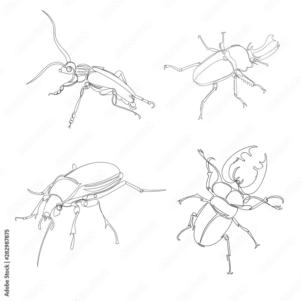 beetle. one line. vector image of an insect. a set of images of beetles ...