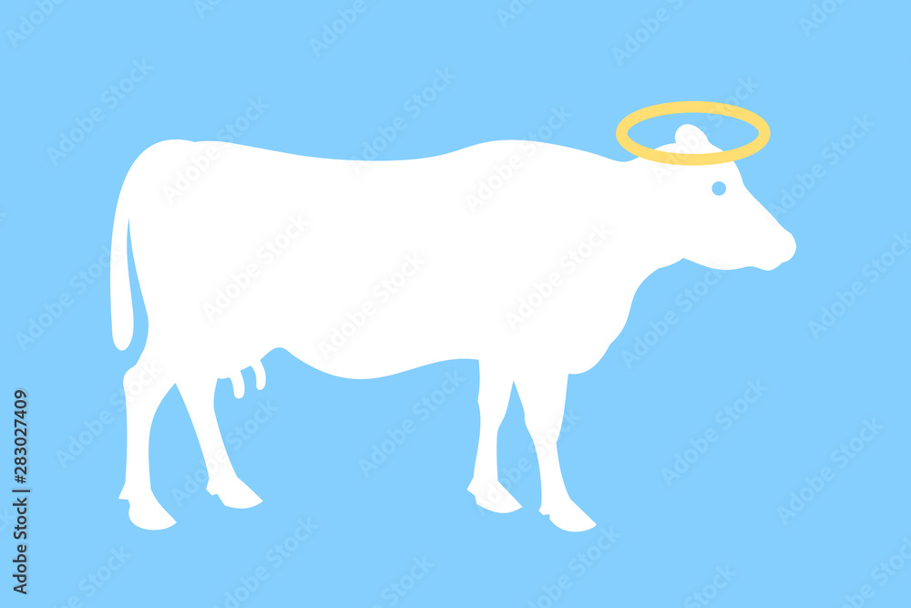 Sacred and holy cow - religious worship and glorification of holy ...