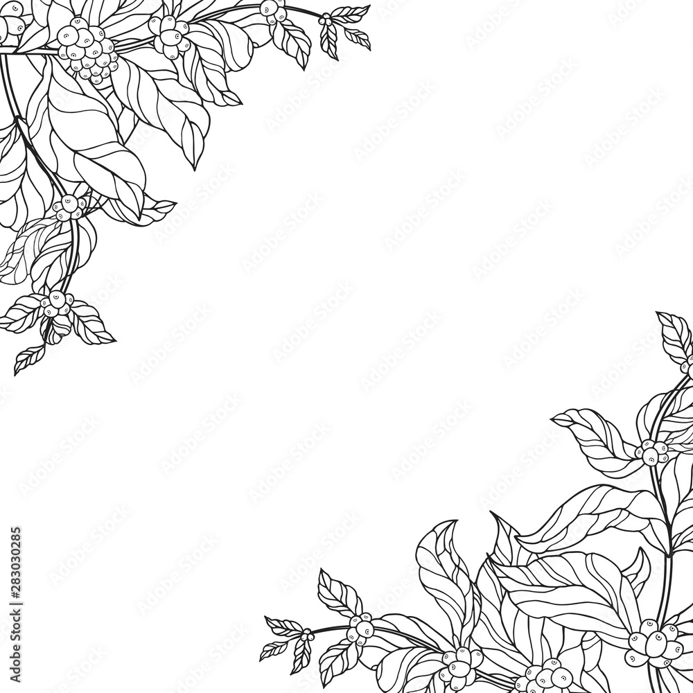 coffee beans border vector