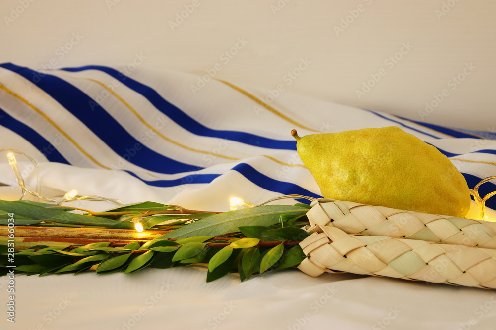 Jewish festival of Sukkot. Traditional symbols (The four species ...