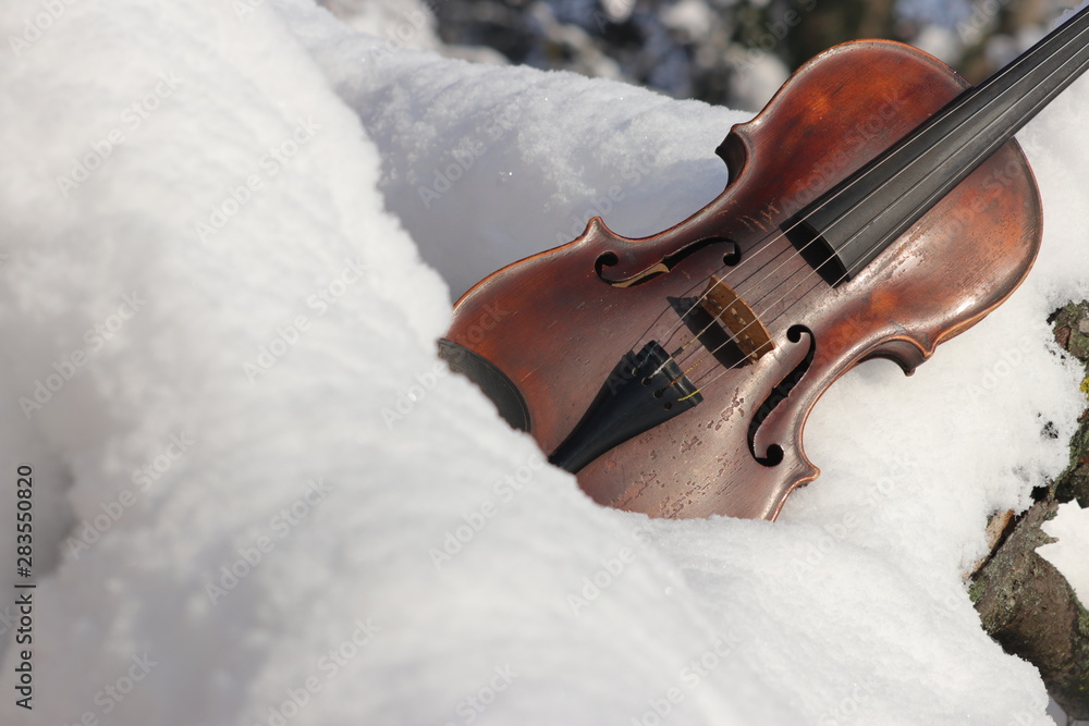 Violin on snow - theme (motive) Christmas, Xmas, advent. Concept ...