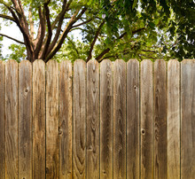 Wood Fence Background Free Stock Photo - Public Domain Pictures